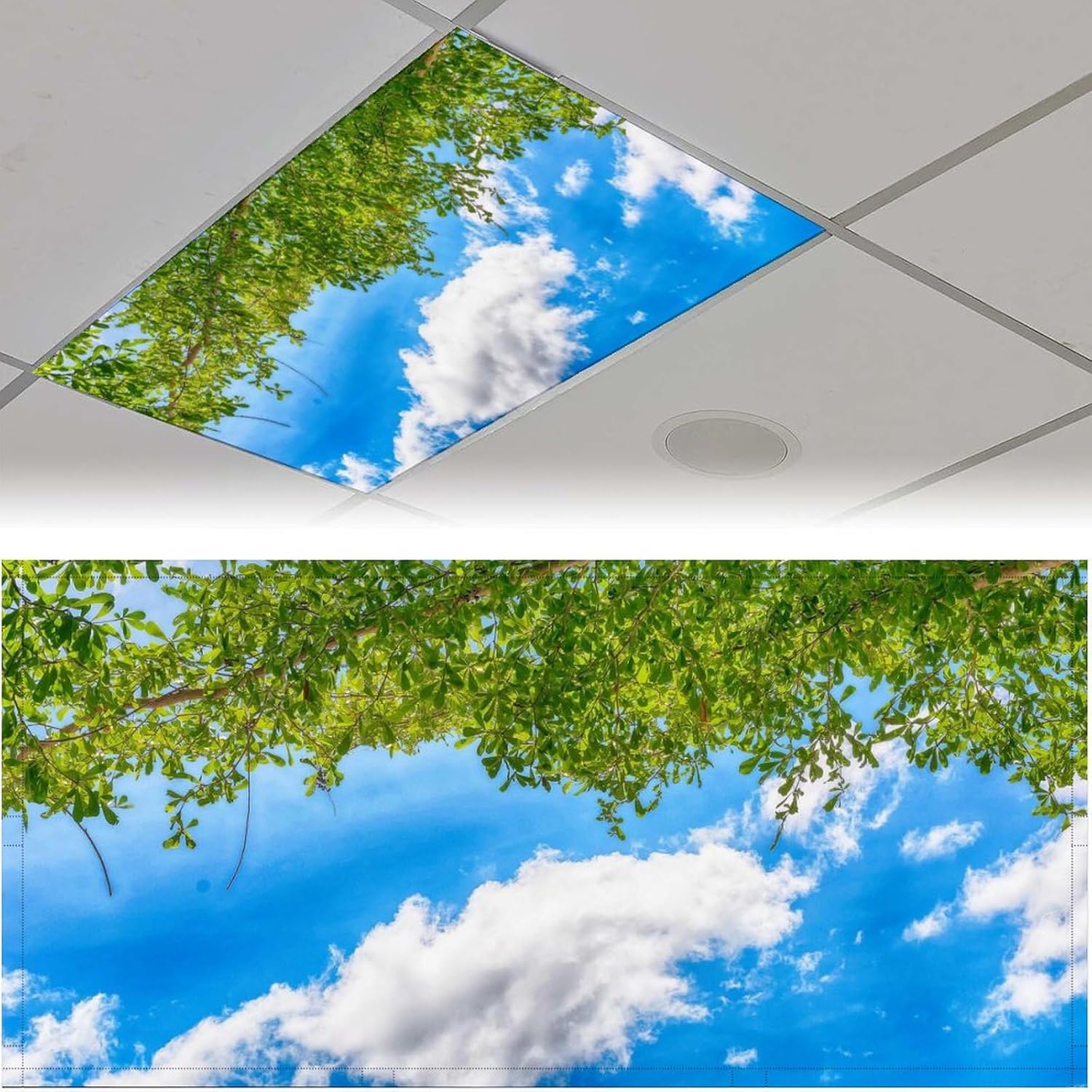 EIKODO-2pcs Summer Sky Fluorescent Light Covers - Light Covers for ...