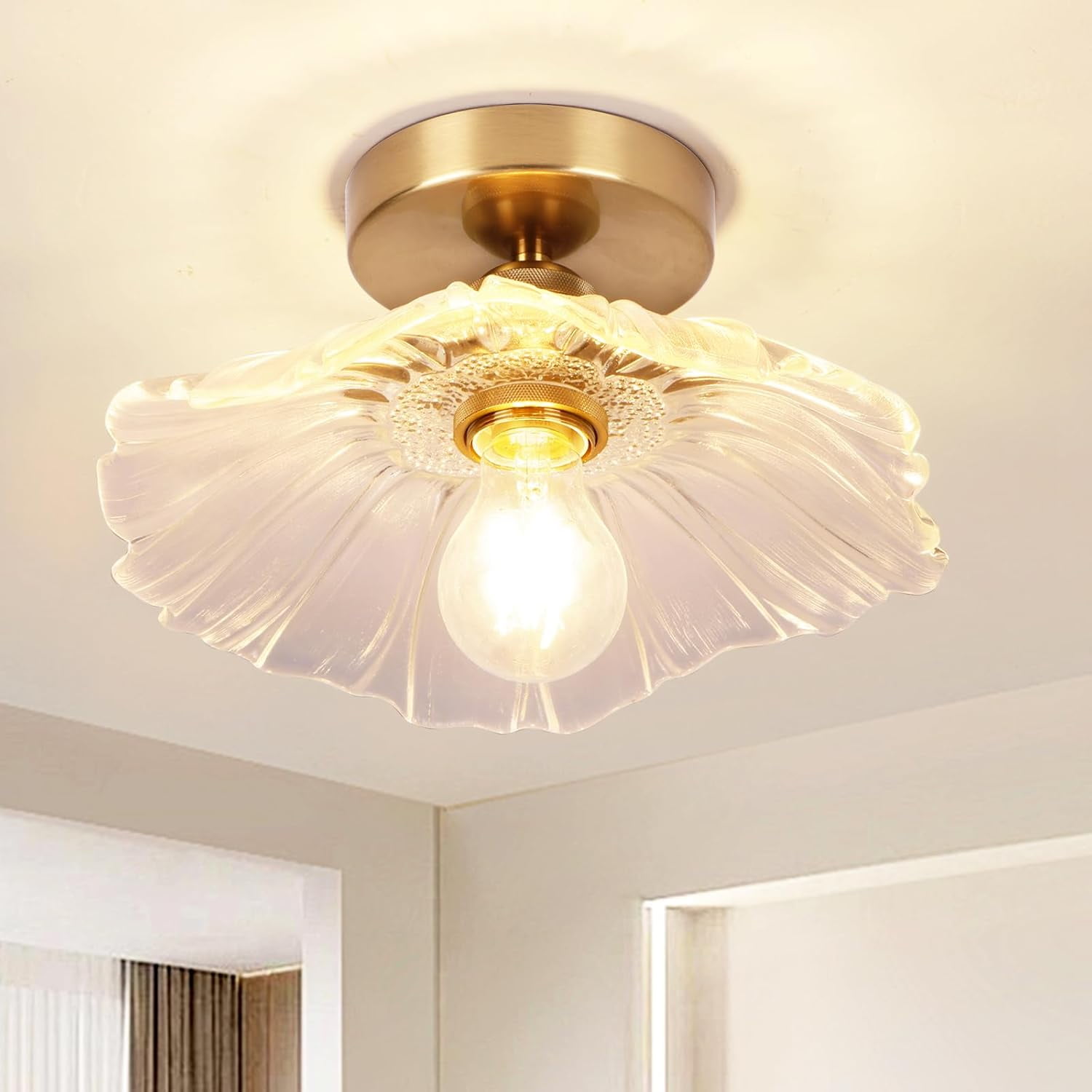EIKODO-Chandelier, Flush Mount Ceiling Light, Clear Glass Shade Light ...