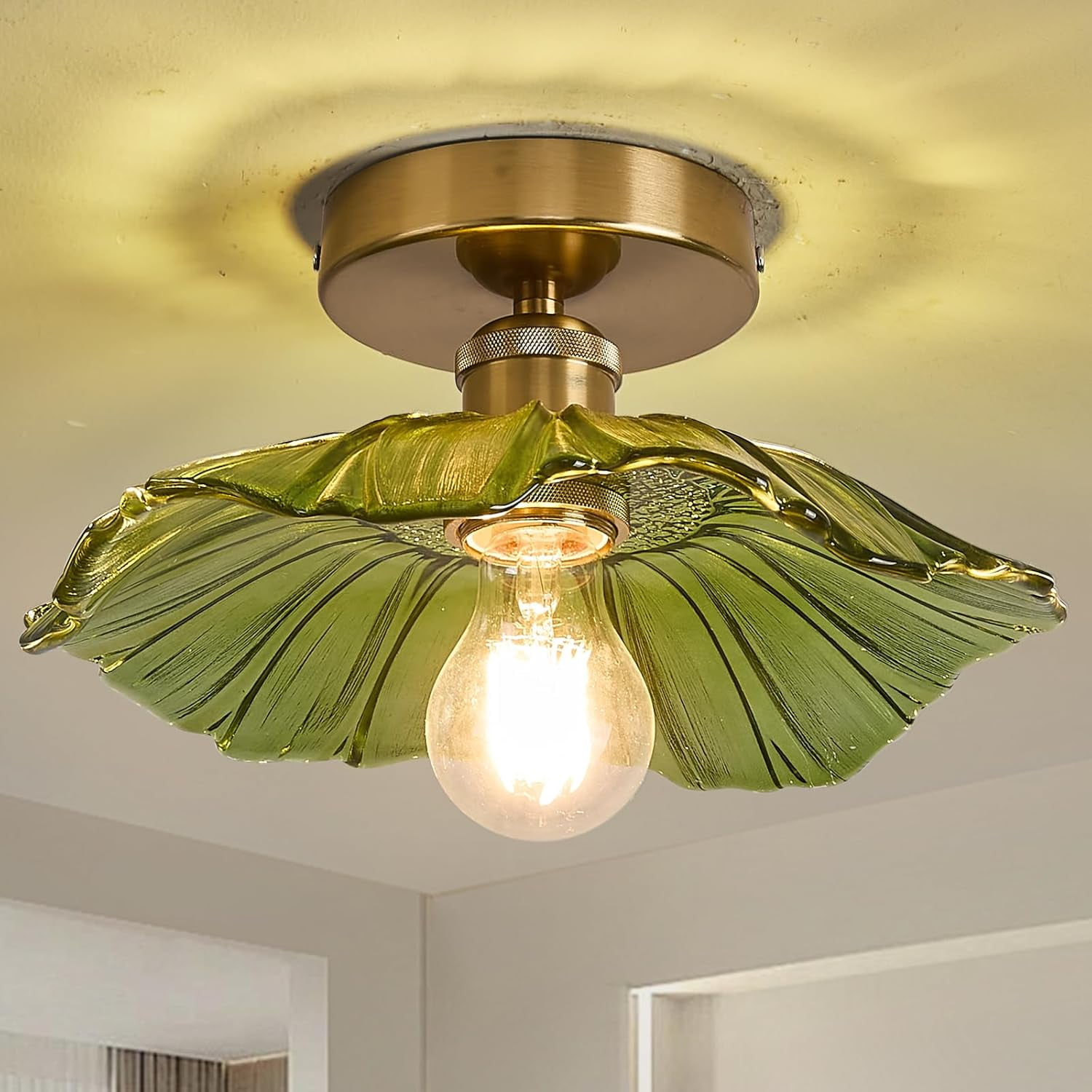 EIKODO-Chandelier, Flush Mount Ceiling Light, Clear Glass Shade Light ...