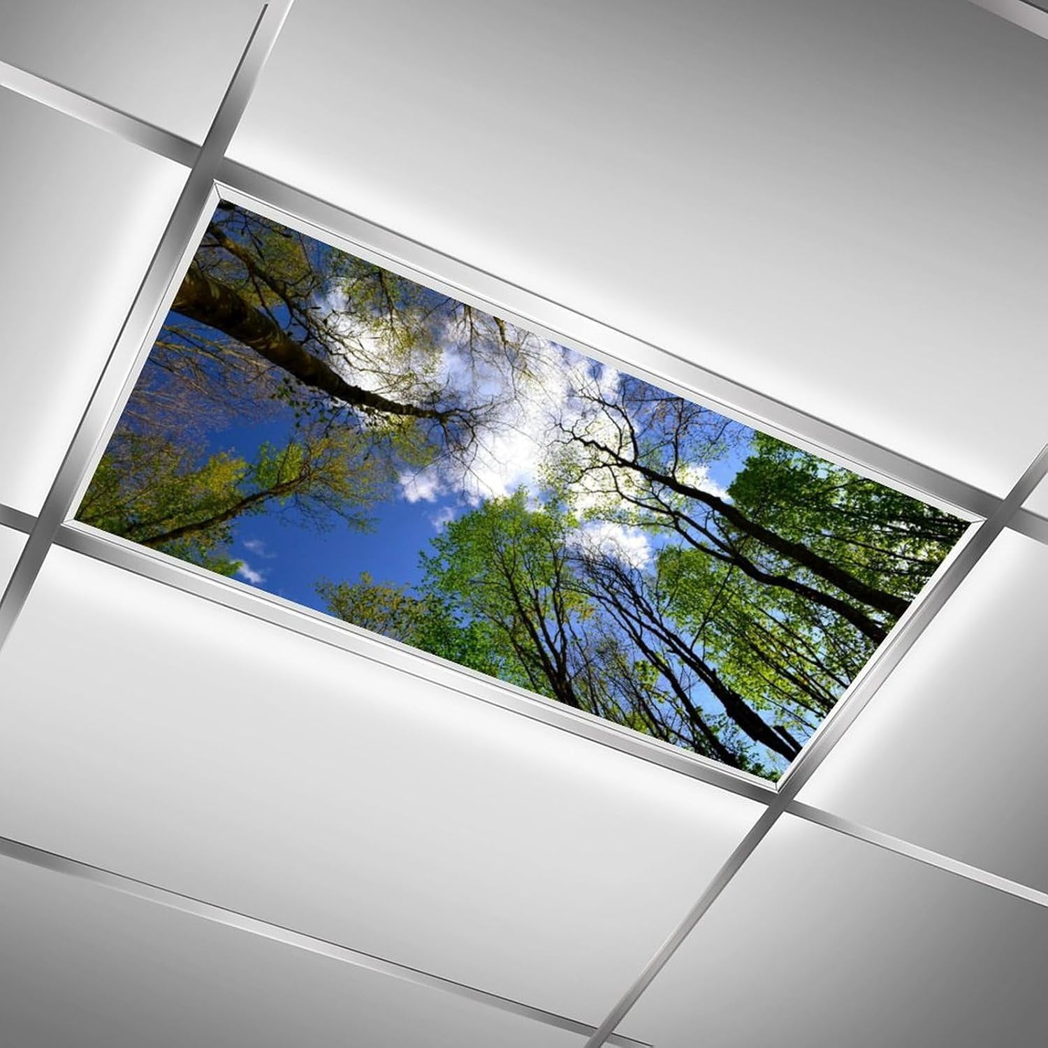 EIKODO-Fluorescent Light Cover for Classroom - 2 Pcs Slender Tree ...