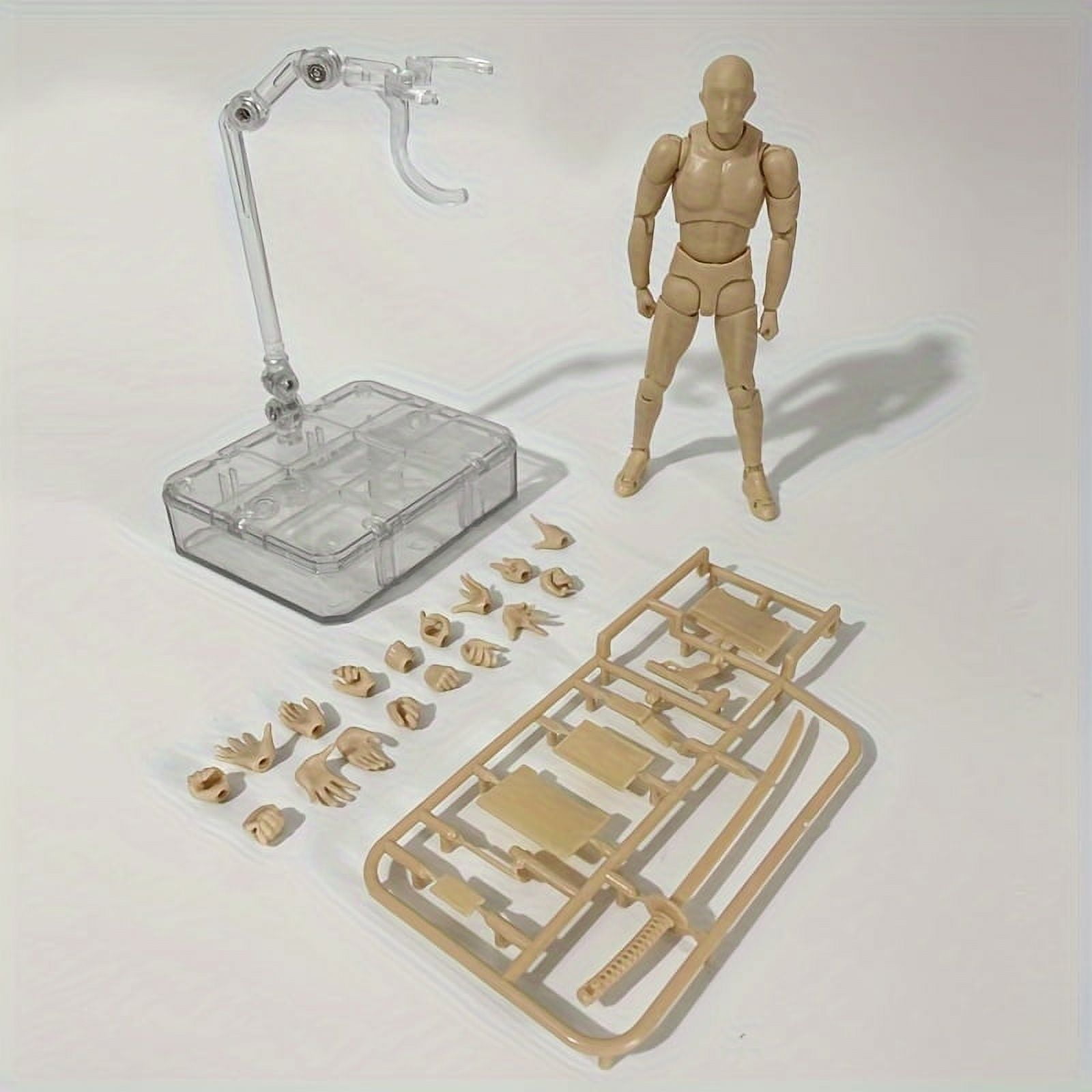 EIMELI 1pc Human Anatomy Model Movable Joint Action Figure for Drawing ...