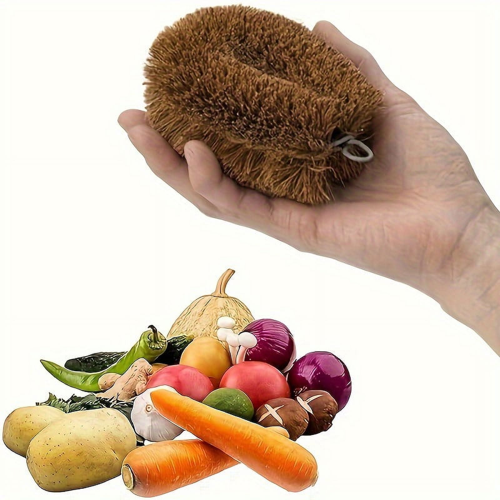 EIMELI Vegetable Scrub Brush Natural Coconut Fiber Potato Scrubber ...