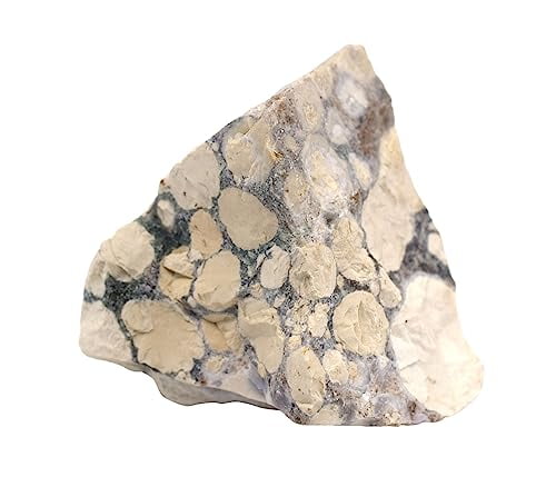 EISCO Raw Conglomerate, Sedimentary Rock Specimen - Hand Sample Approx ...