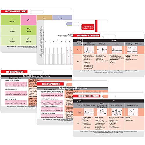 EKG Horizontal Badge 6 Card Set, ECG Telemetry Cards with EKG Ruler ...