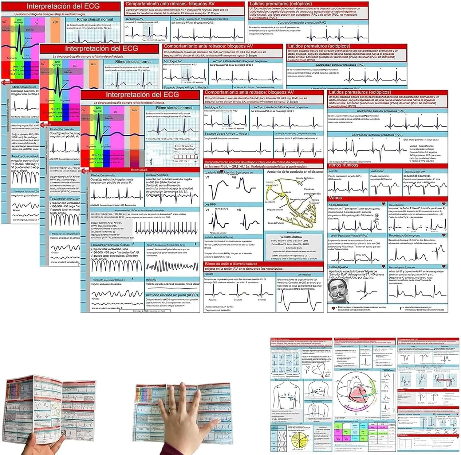 EKG Pocket Guide, EKG Rhythm Interpretation,Double Sided Compact Portable Reference Card, Rapid ...