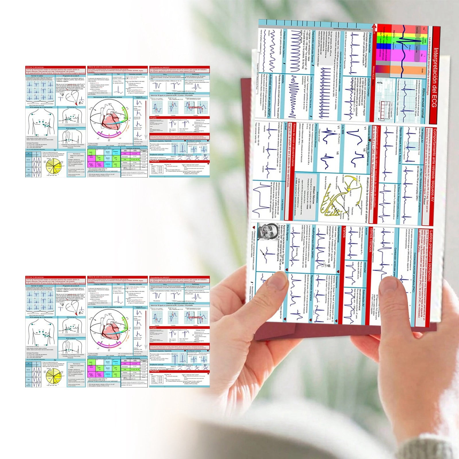 EKG Pocket Guide, EKG Rhythm Interpretation,Double Sided Compact ...