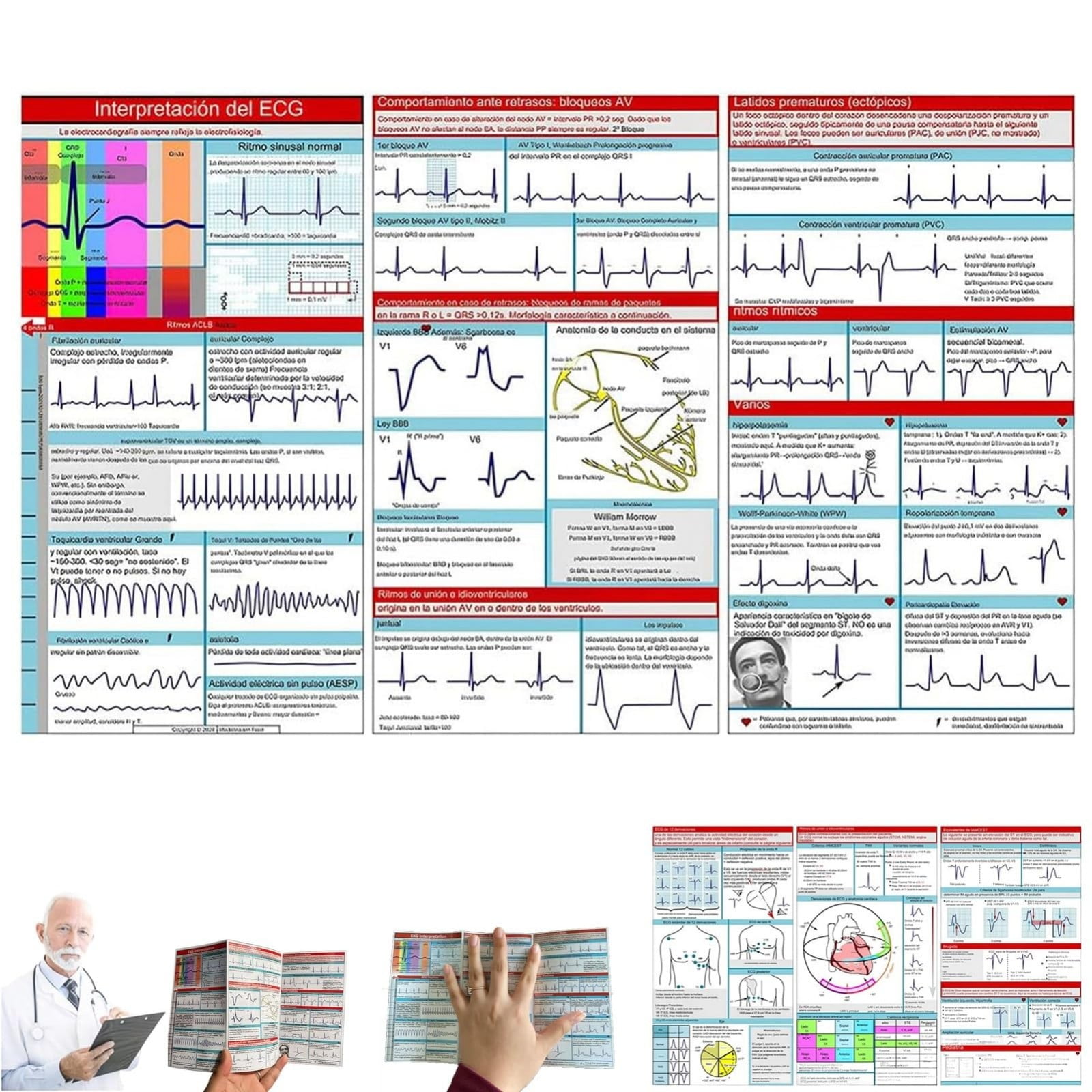 EKG Pocket Guide,EKG Rhythm Interpretation,Double Sided Compact ...