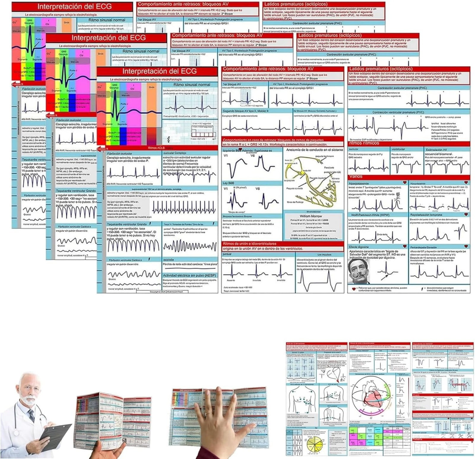 EKG Pocket Guide,EKG Rhythm Interpretation,Double Sided Compact ...