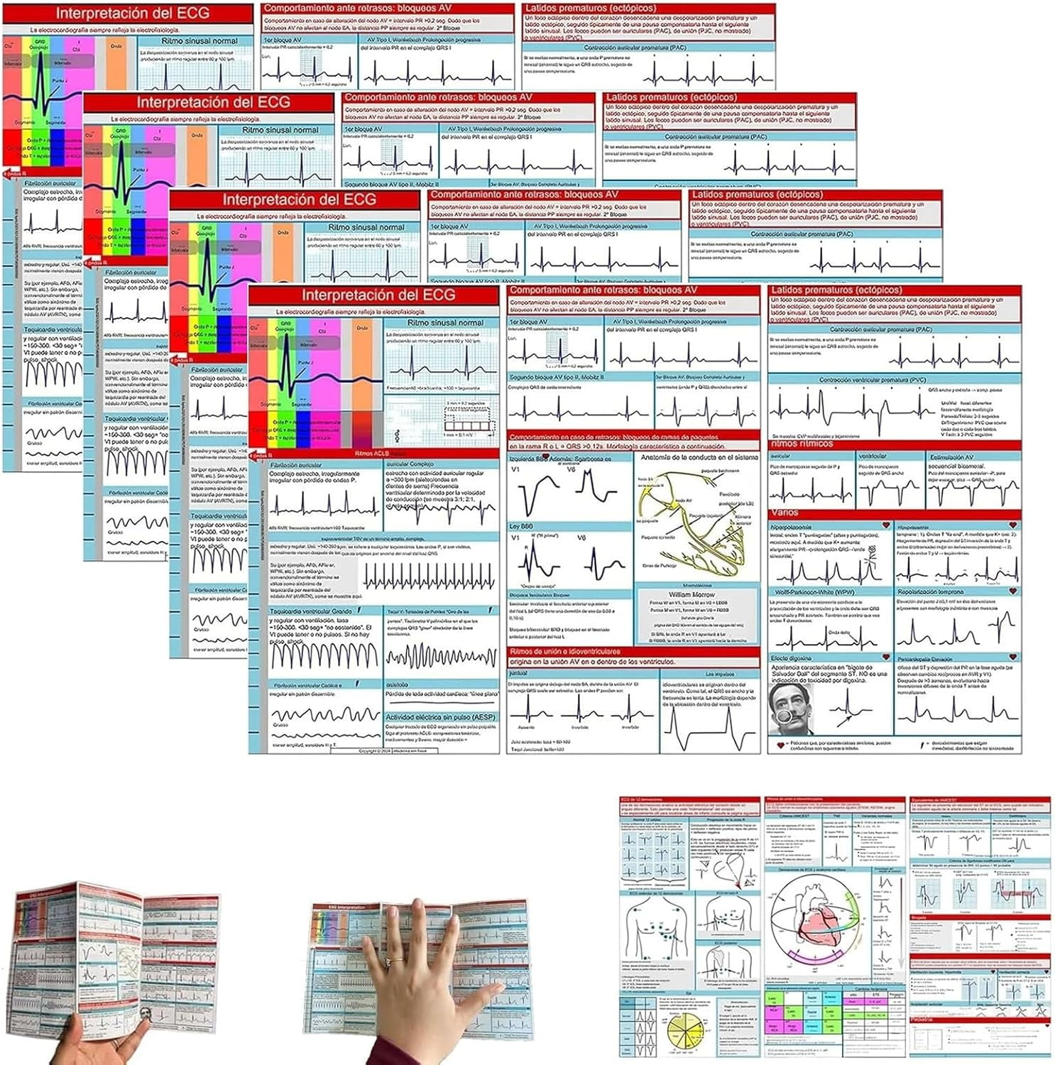 EKG Pocket Guide, EKG Rhythm Interpretation,Double Sided Compact ...