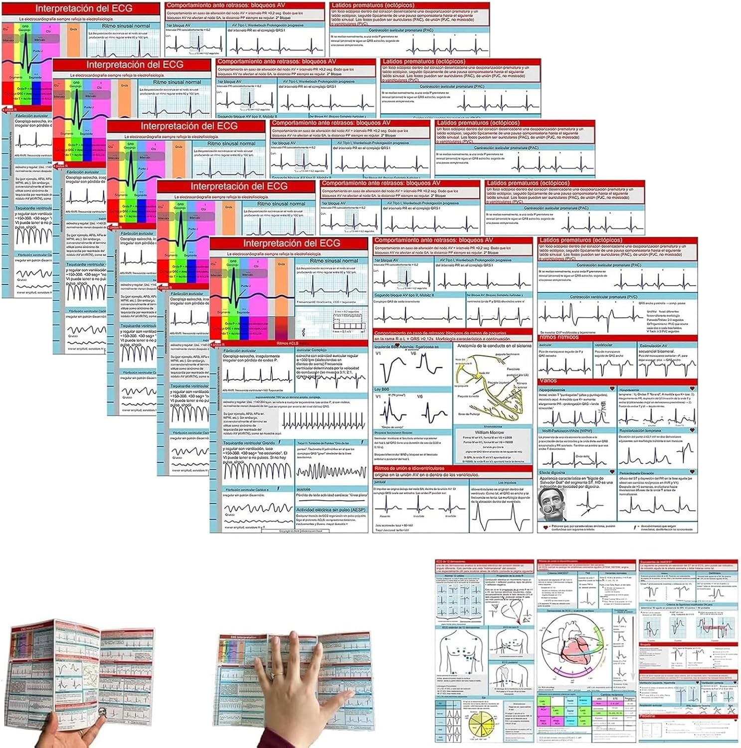 EKG Pocket Guide, EKG Rhythm Interpretation,Double Sided Compact ...