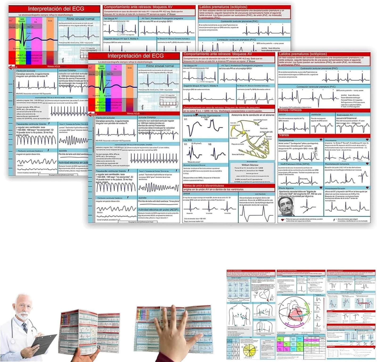 EKG Rhythm Interpretation - Compact & Portable Reference Card – Rapid ...