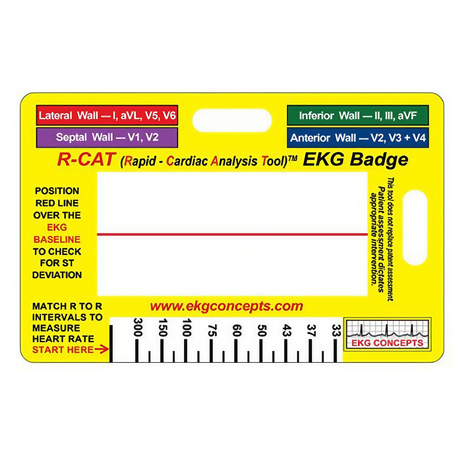 EKG Ruler Horizontal Badge Card Tool - ECG and Electrocardiogram Ruler ...