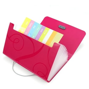 Mini File Folder