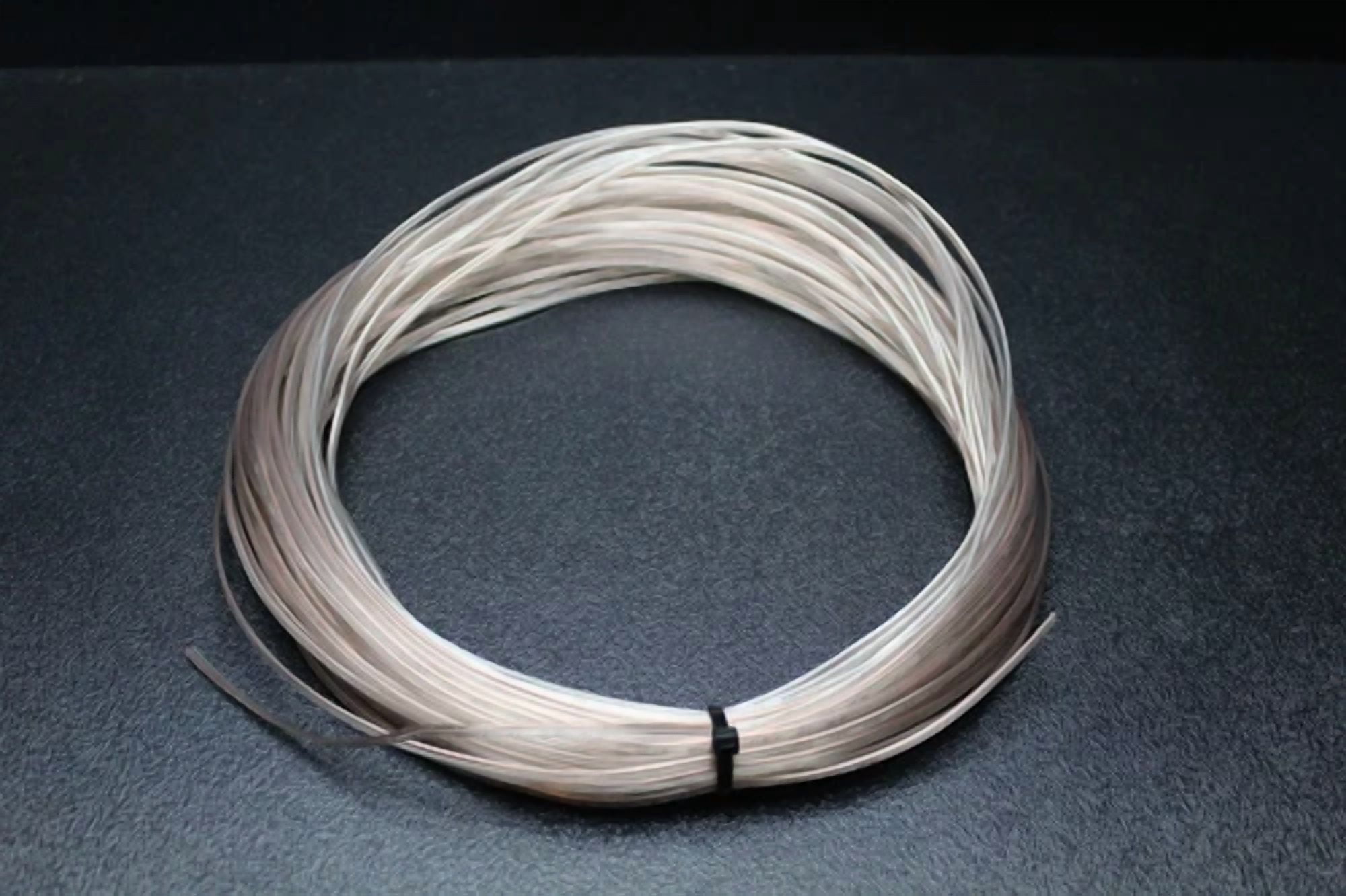 ELARA- 24 Gauge Clear Speaker Wire 50 Ft Awg Cable Power Ground ...