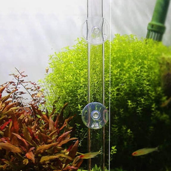 ELAYARD 1 Set of Acrylic Fish Tank Feeder Transparent Sinking Feeding ...
