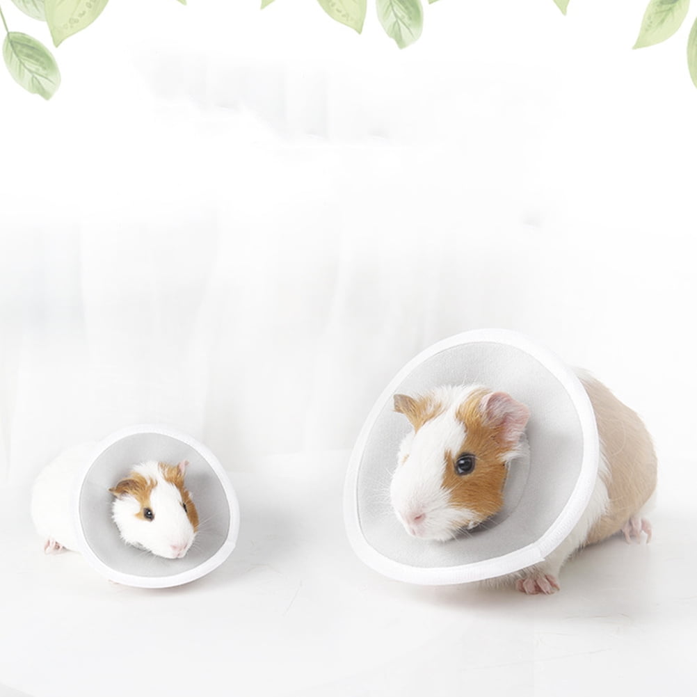 ELAYARD Neck Collar for Small Pets, 1pc Guinea Pig Wound Healing Collar ...