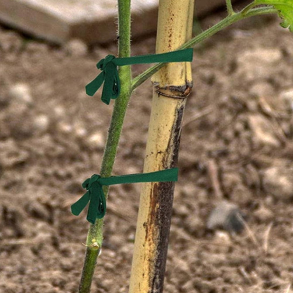 ELAYARD 2 Rolls Strap for Tree Adjustable Length and Flexible Usage for ...