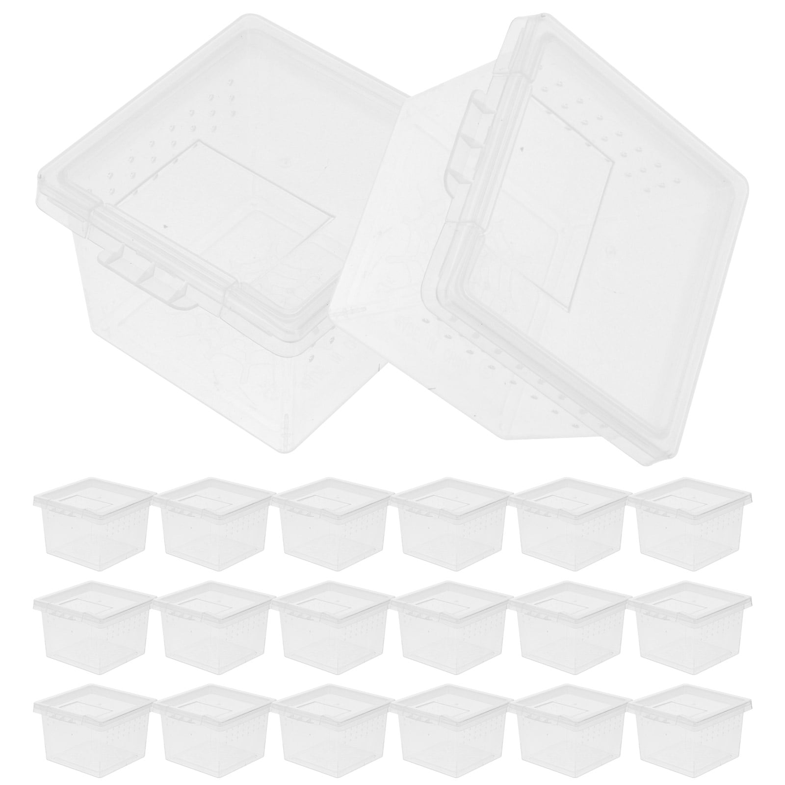 ELAYARD 20Pcs Vertical Insect Terrarium Clear Feeding Box Secure ...