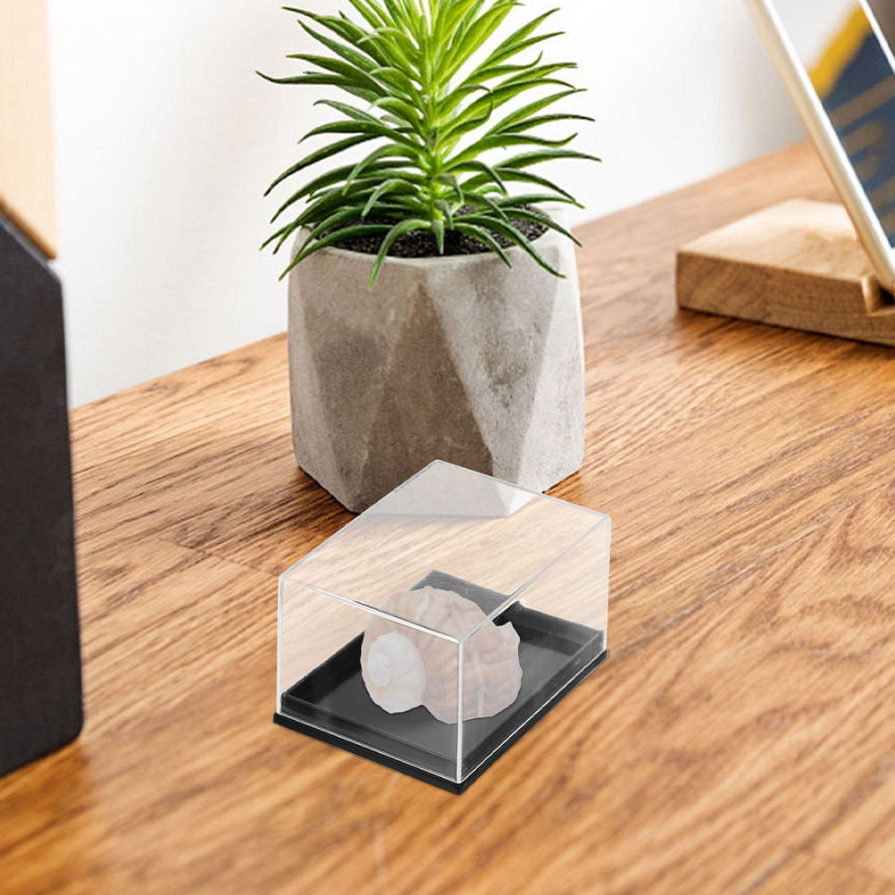 ELAYARD Set of 8 Clear Plastic Display Cases in Assorted Colors for ...