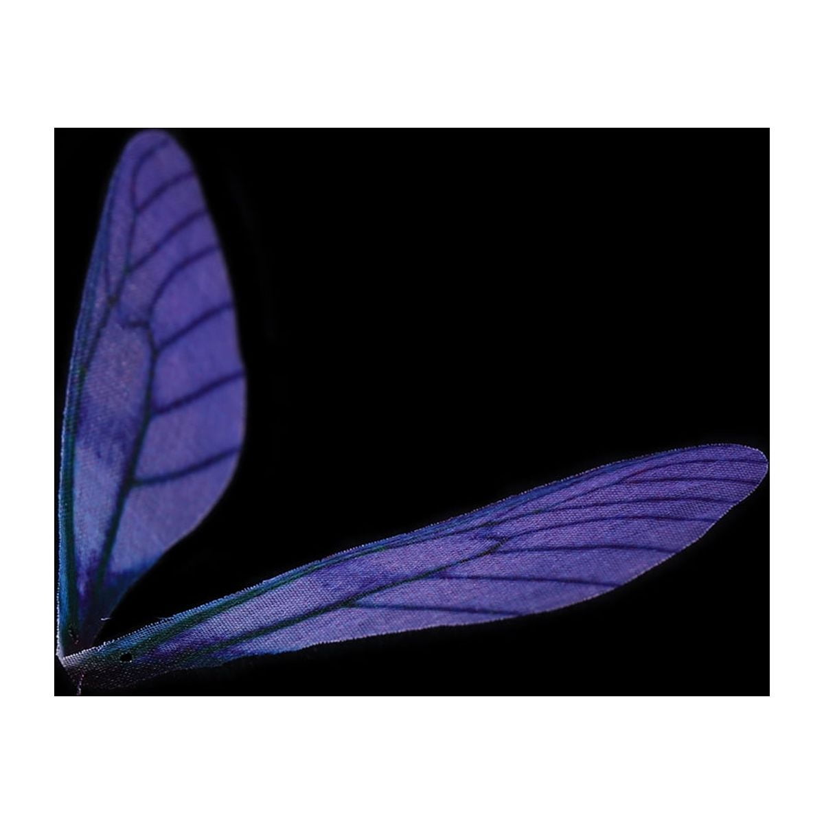 ELAYARD Artificial Design Dragonfly Wings for Craft Enthusiasts 20Pack ...