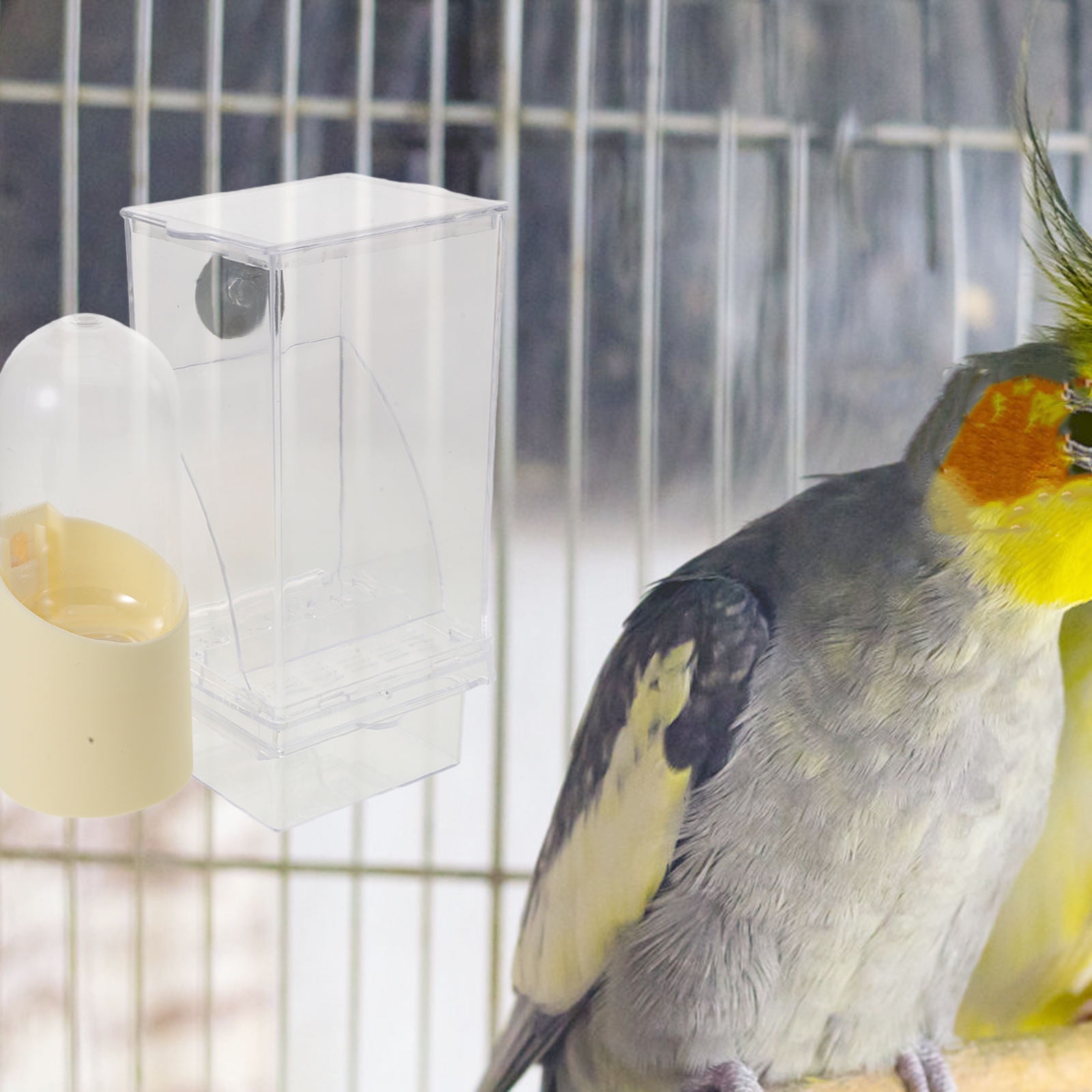 ELAYARD Assorted Color Plastic Parrot Feeder and Water Dispenser for ...