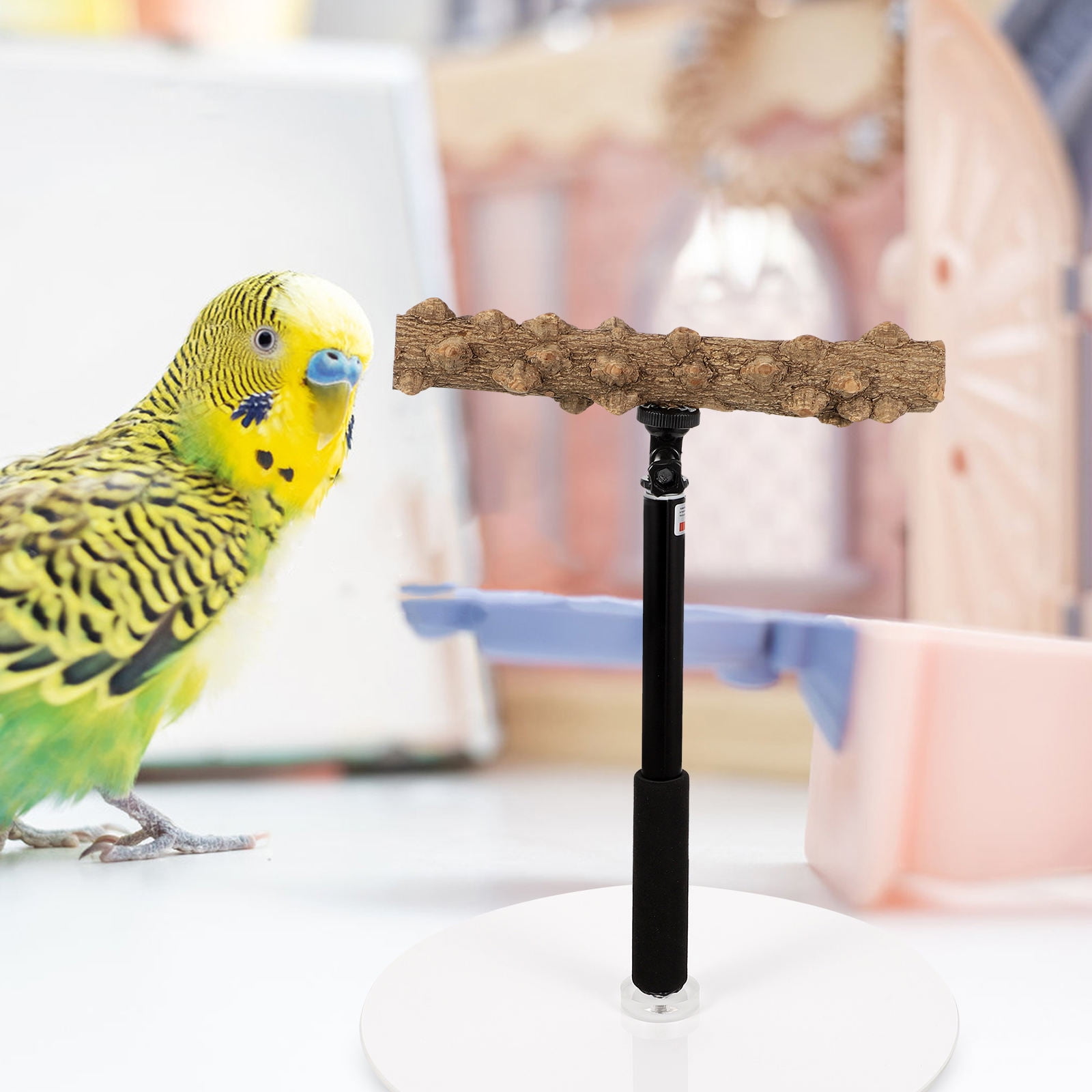 ELAYARD Bird Training Perch Stand Adjustable Perch Design Multi 1 Set ...