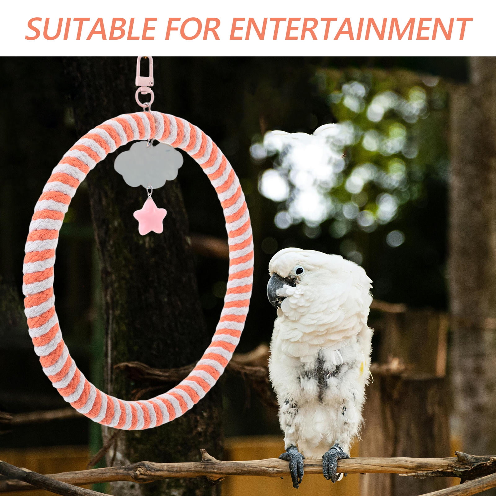 ELAYARD Cockatiel Swing Stand Multicolor Chewing Perching Bird Cage ...