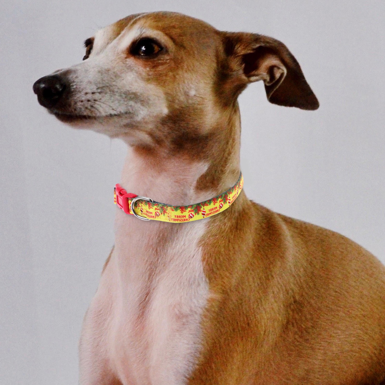 ELAYARD Cute Dog Collars Lightweight Decorative Red for Pet Owners 1 ...