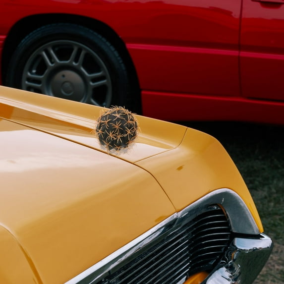 ELAYARD Green Cartoon Cactus Car Antenna Decoration Faux Cactus Plant ...