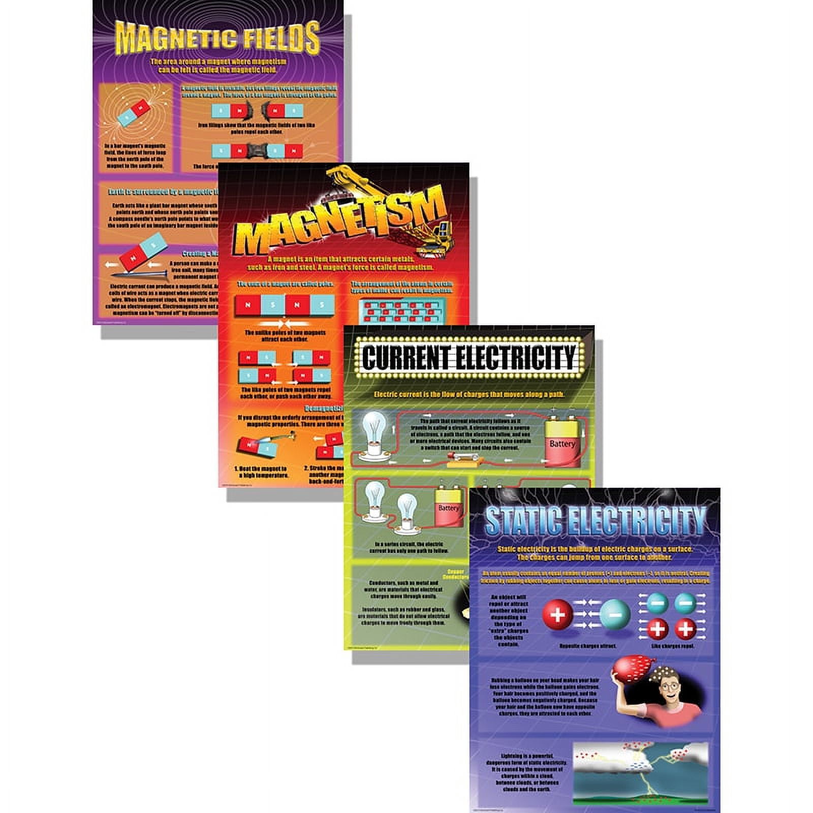 Mcdonald Publishing Mc-P111 Electricity & Magnestism Poster Set ...