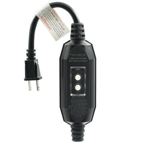 2 Prong Replacement Plug