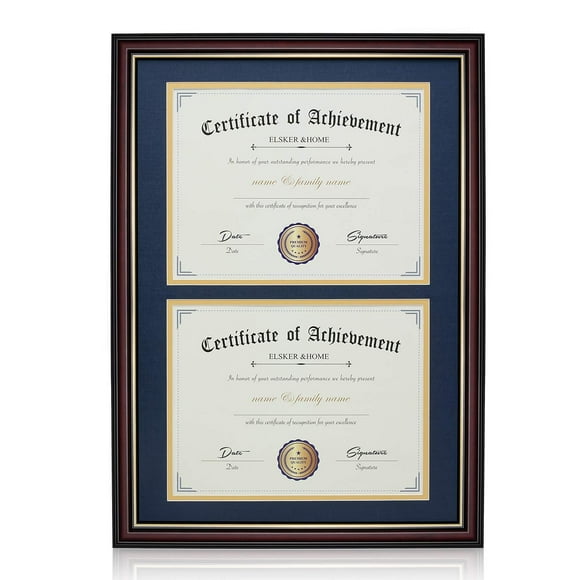 Double Document Frame
