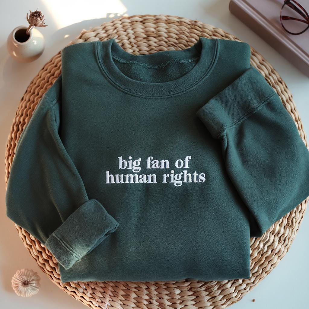 EMBROIDERED Big Fan of Human Rights Sweatshirt, Minimalist Feminist ...
