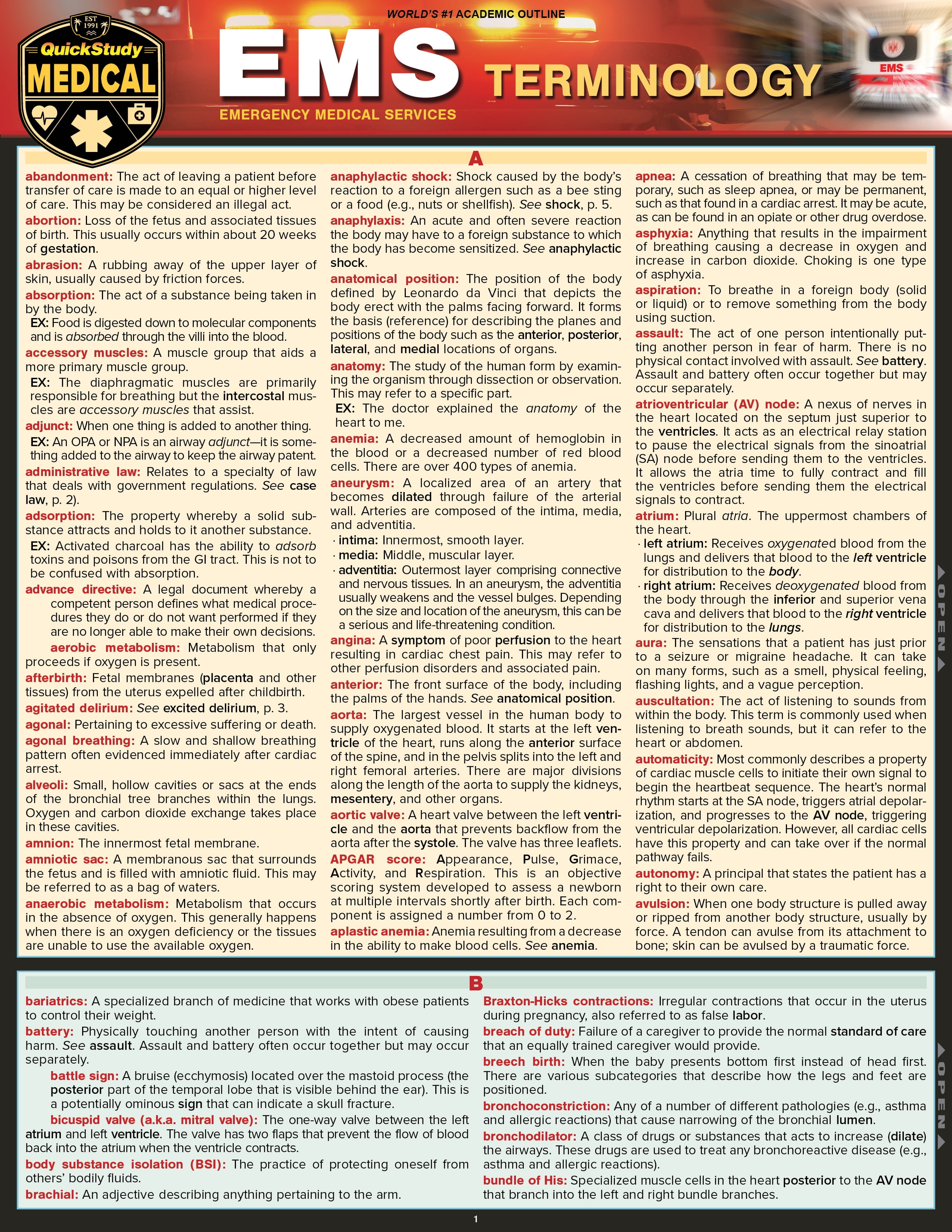 EMS Terminology : a QuickStudy Laminated Reference Guide (Edition 1 ...