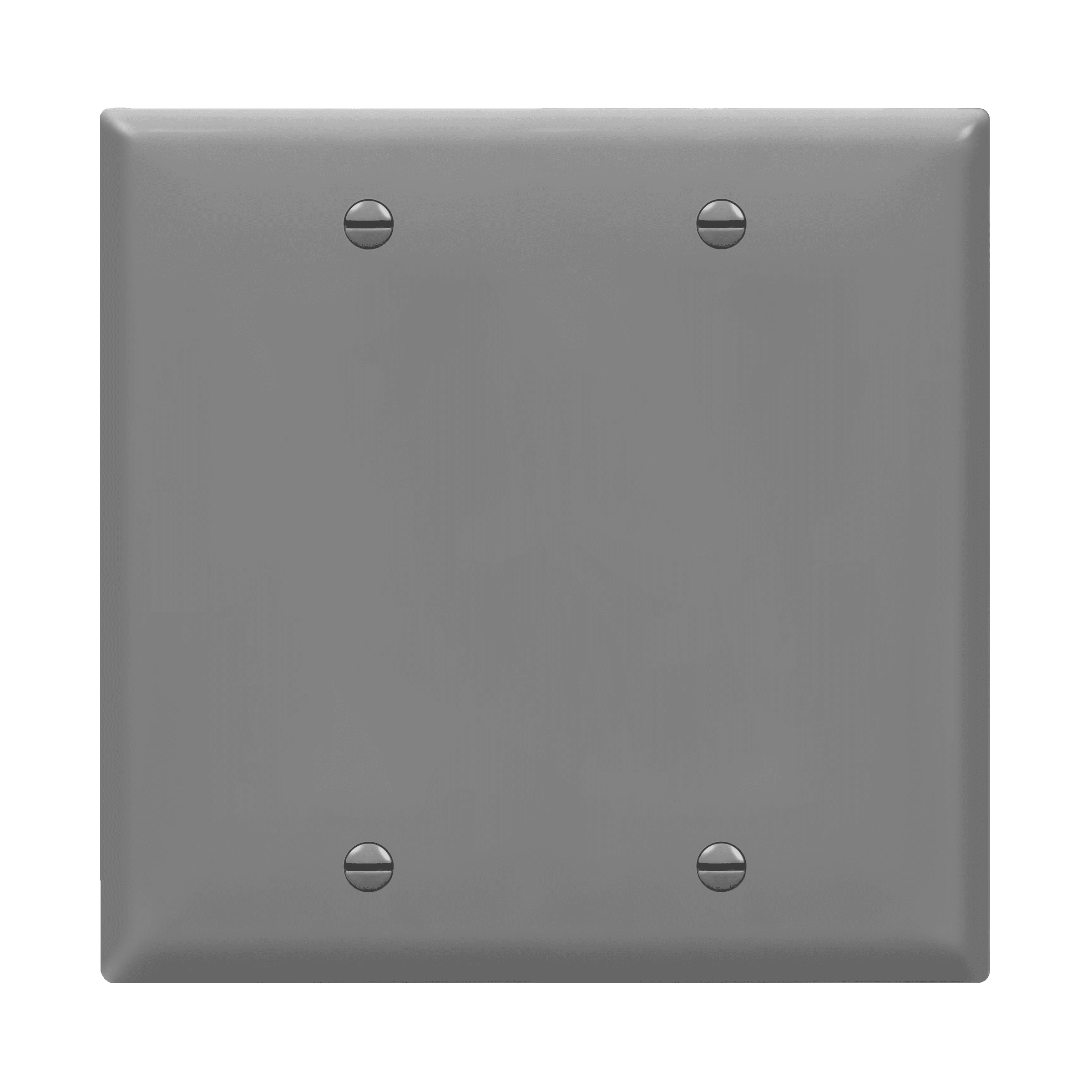 ENERLITES Double Blank Cover Wall Plate, Gloss Finish, Standard Size 2 ...