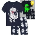 ENFLASH Little Boys Girls 2 Piece Short Pajamas Dinosaur Sleepwear Cotton Toddler Cartoon Pjs ...