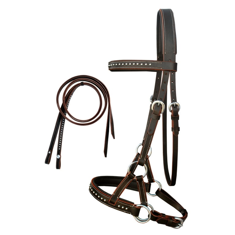 Western Bridle With Bit