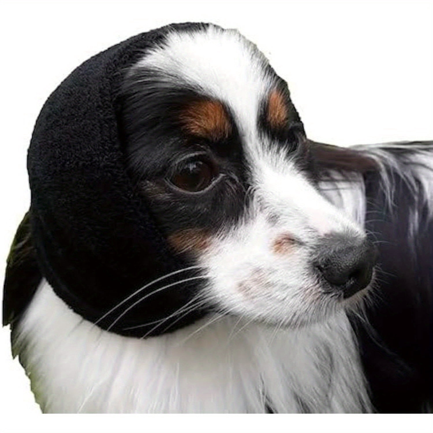 ENIYUU Calming Band for Dogs & Cats - for Anxiety Relief – Noise ...