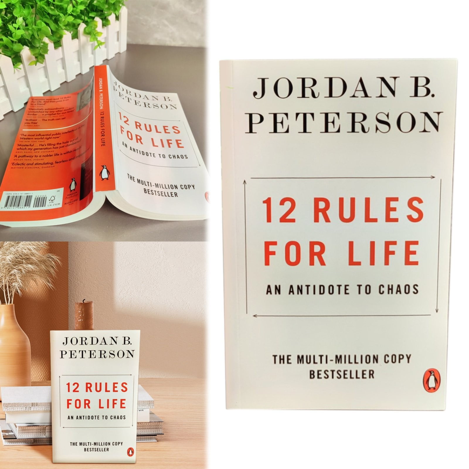 ENMJIAW Twelve Rules Of Life A Book That Can Teach You A Lot With 12 ...