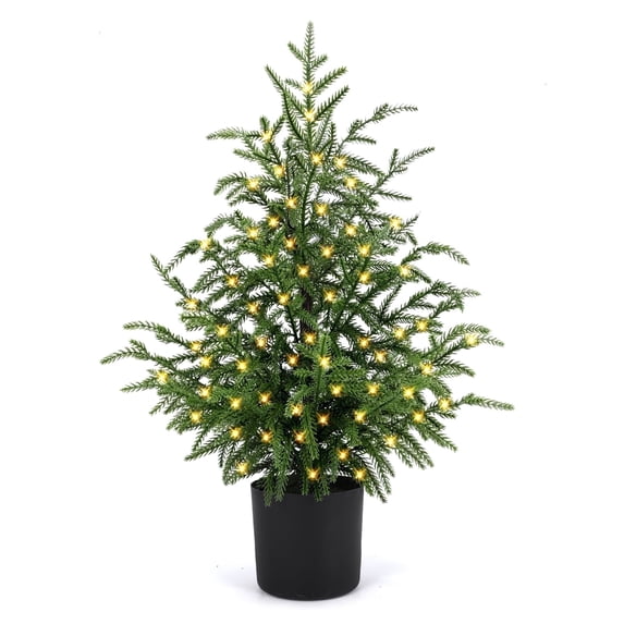 ENVEN 2ft Pre-Lit Norfolk Pine Artificial Green Christmas Tree 24" Real ...