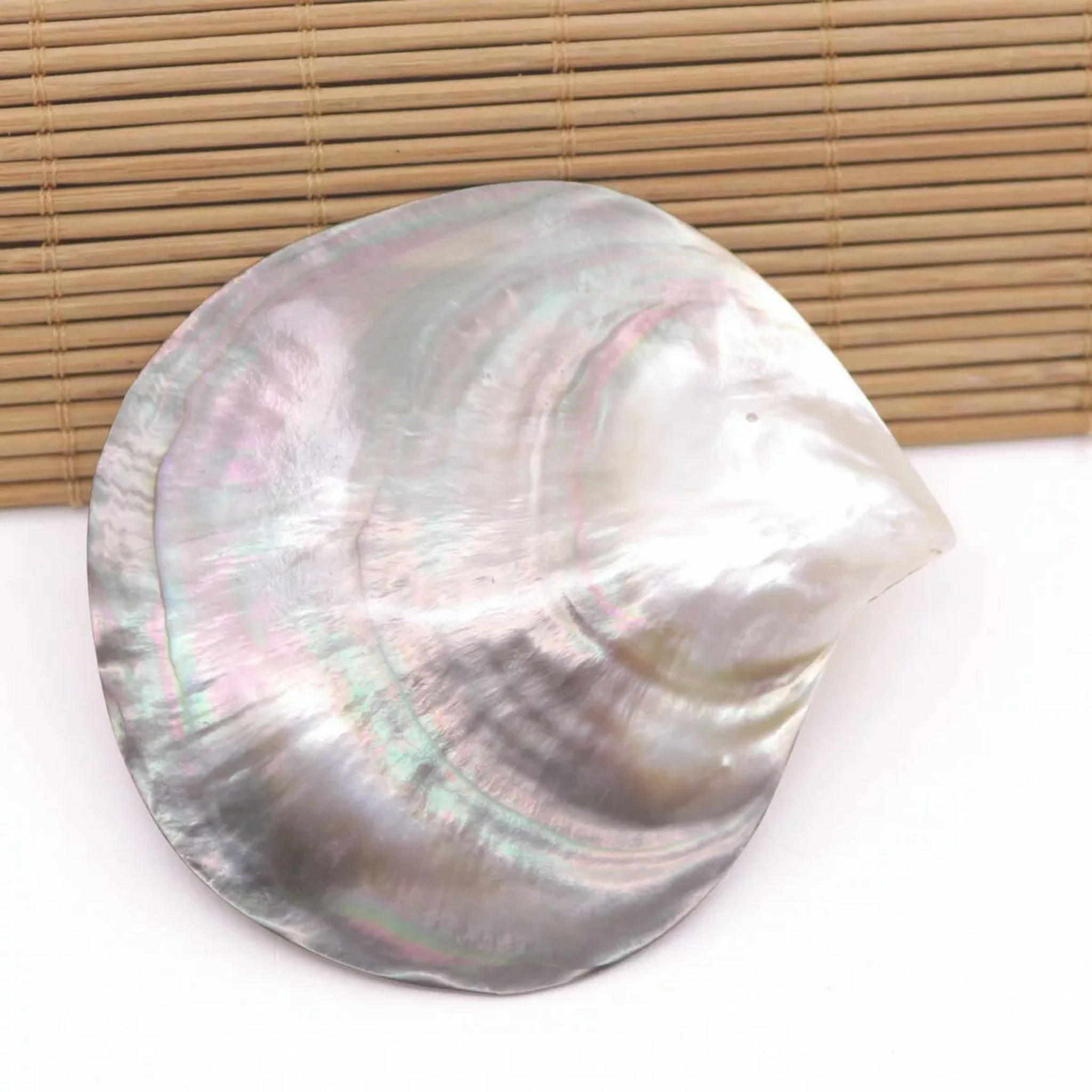 EOEMY 70-80mm Natuarl Black Lip Shell Mother Of Pearl No Hole Clam ...