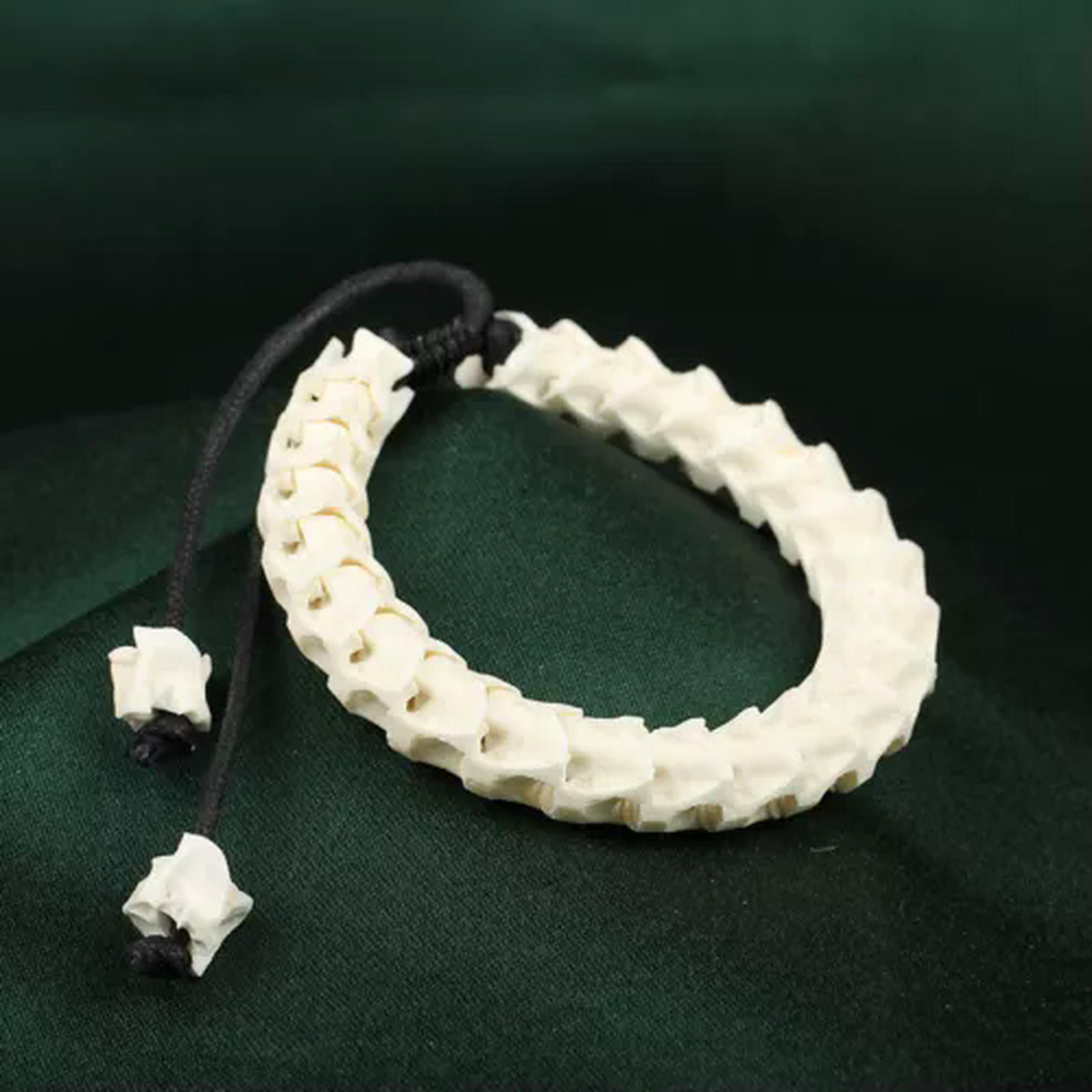 EOEMY Natural Genuine Snake Spine Skeleton Vertebrata Bracelet Jewelry ...