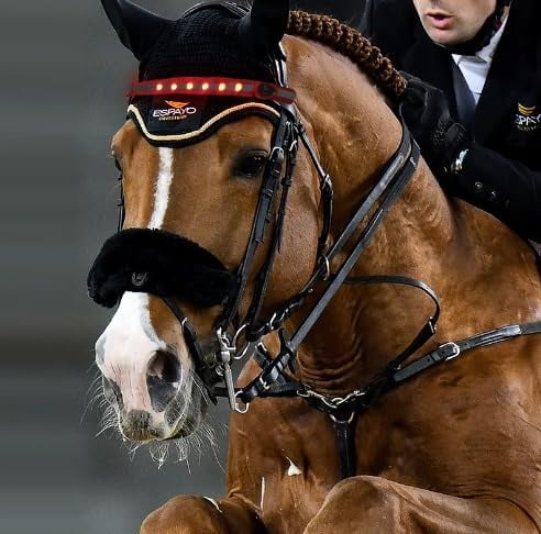 EONQY Horse Headband LED Horse Breastplate Collar LED Strip Visibility ...