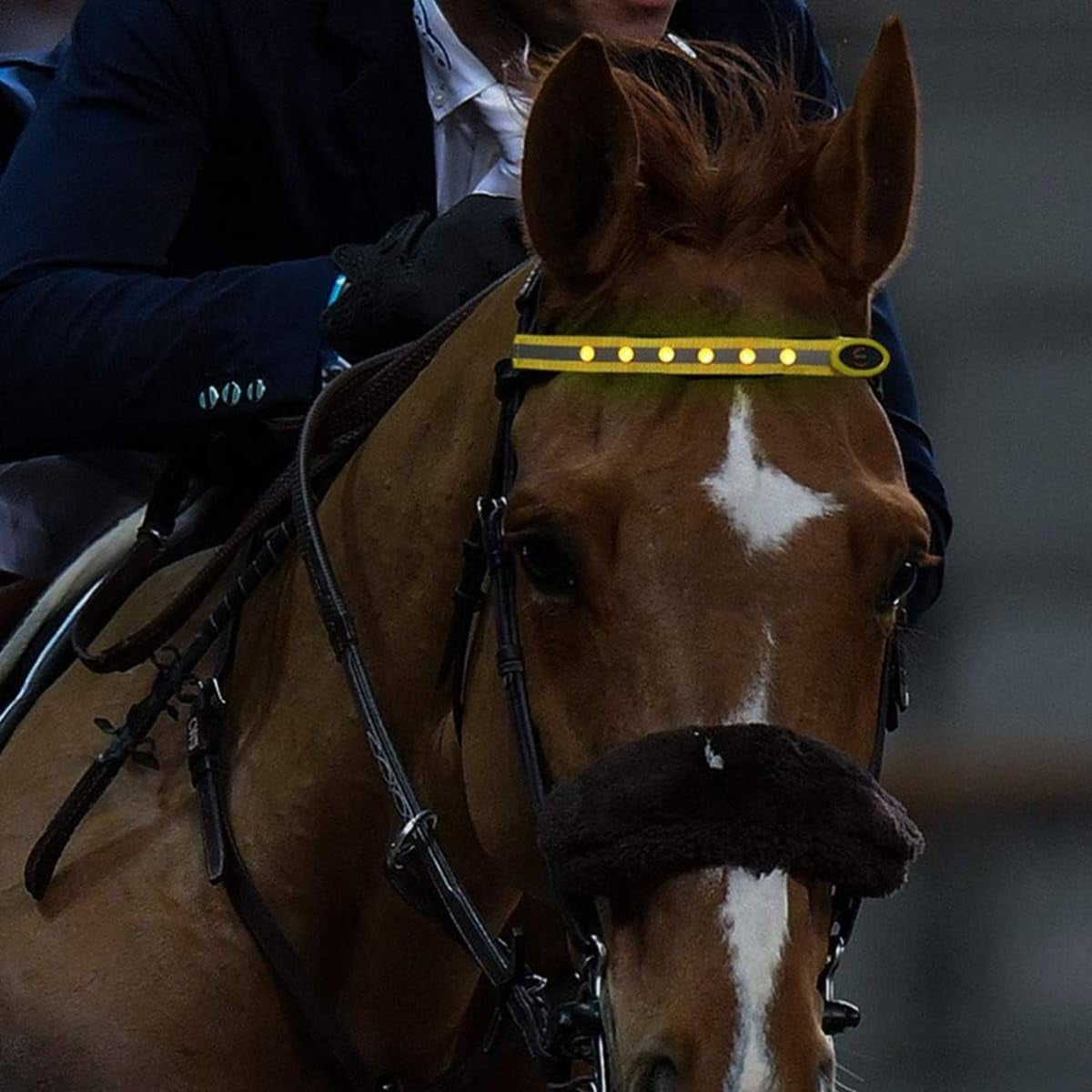 EONQY Horse Headband LED Horse Breastplate Collar LED Strip Visibility ...