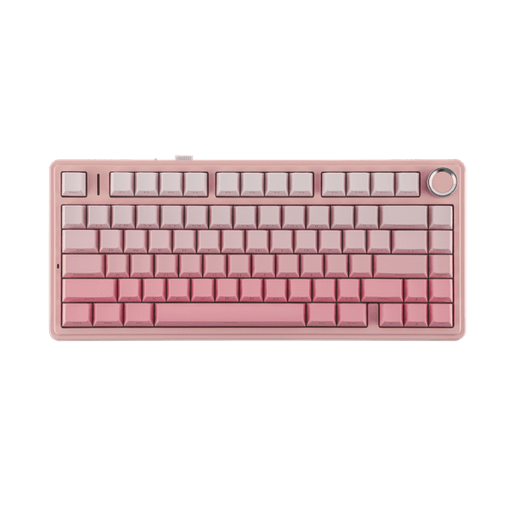 EPOMAKER x AULA F75 75% ANSI Hot-Swap Gasket Bluetooth 5.0/2.4G ...