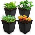 EPOTOOR 10 PCS Re-usable Square Nursery Pot 1/2/3/5/8/10 Gallon Plastic ...
