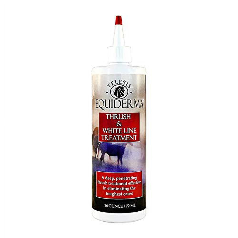 EQUIDERMA Thrush and White Line Treatment 16 oz - Walmart.com