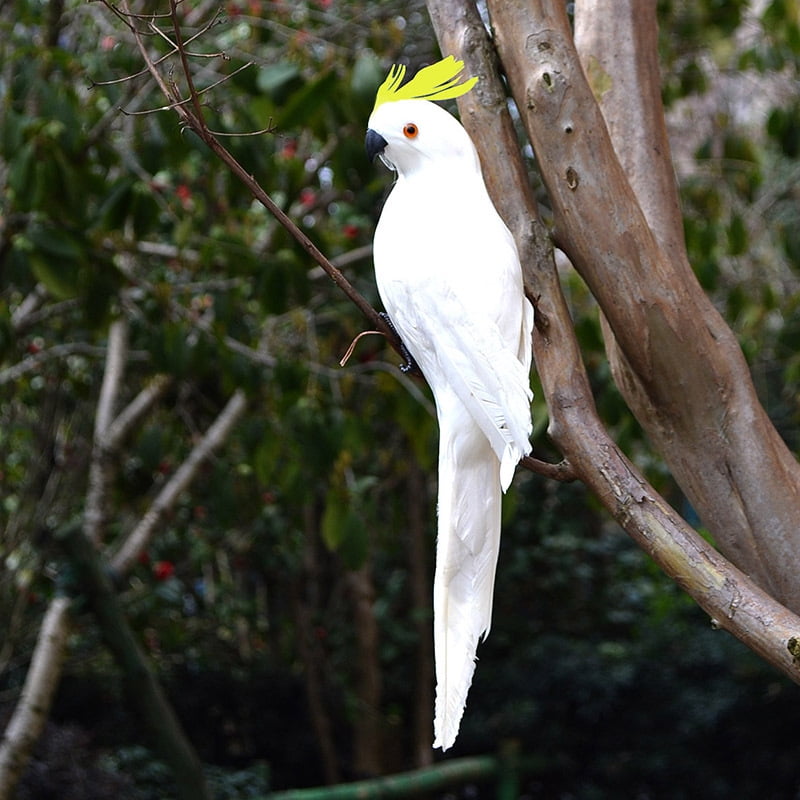 ERDOUY 2 Pcs 13.8 Inch Artificial Birds Realistic Parrot with Lifelike ...
