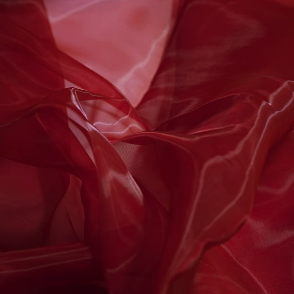 ERDOUY 39.37"×59.06" Transparent Silk Organza Fabric, Mirror-Like Water ...