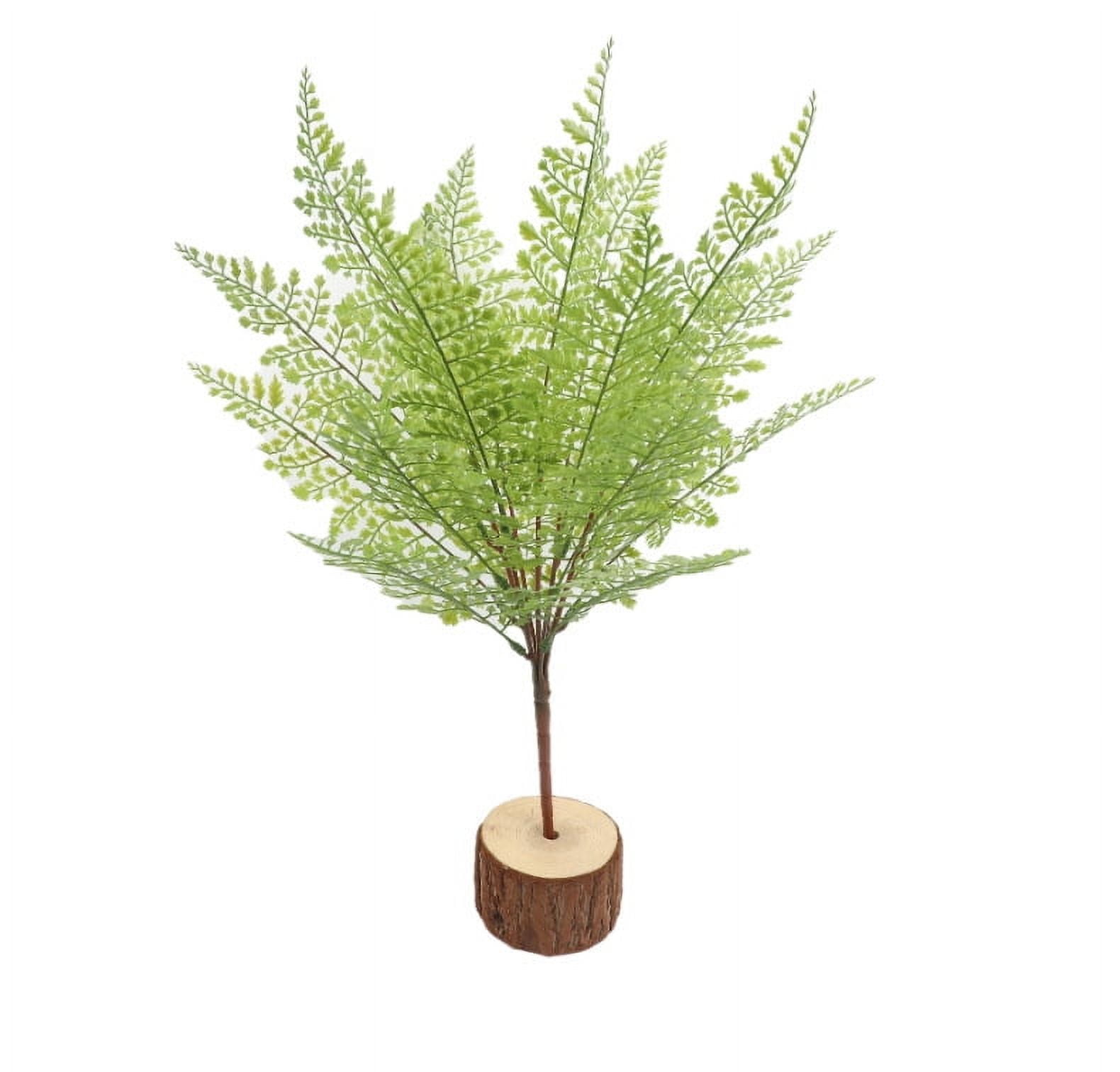 ERDOUY Indoor Modern Home/Office Decoration Simulation Fern Shrubs 6 ...